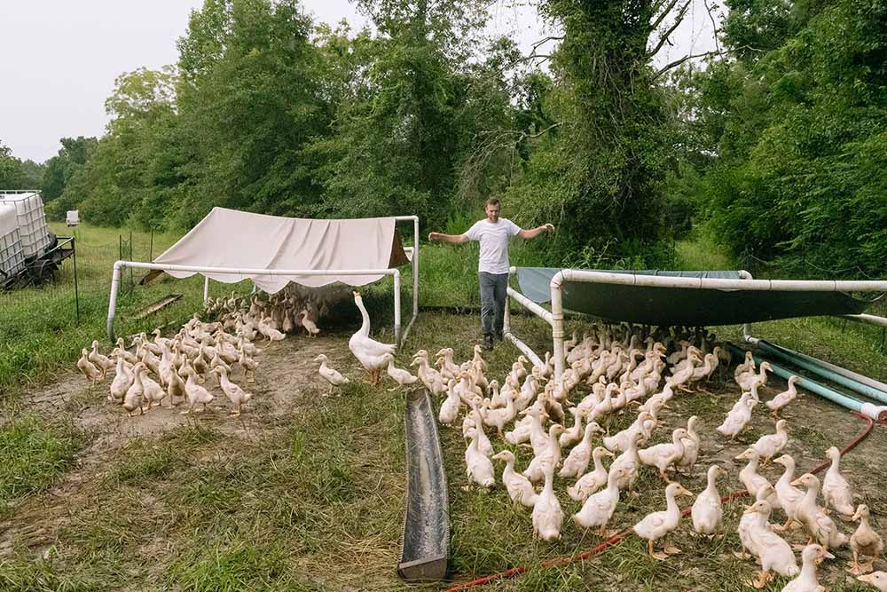 Becker Farms - Farm Hounds